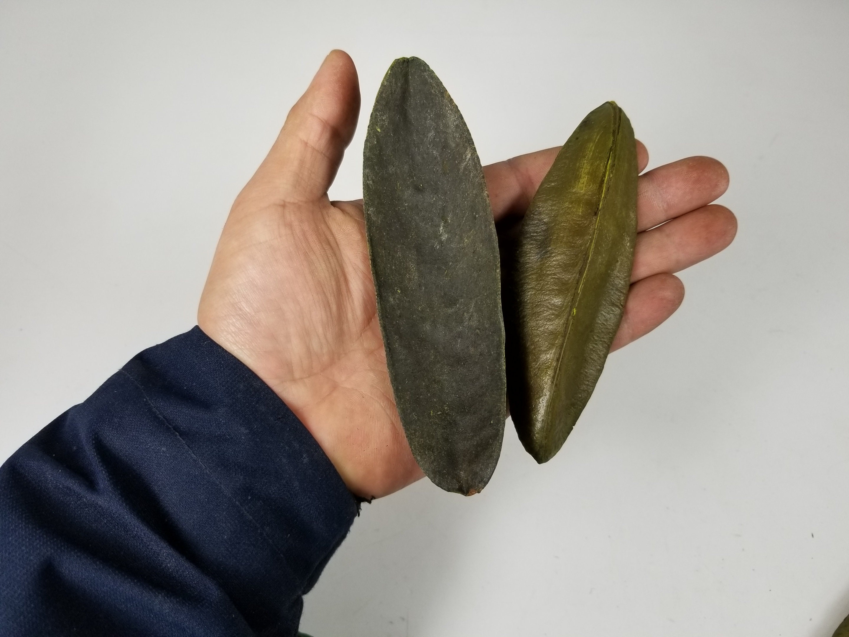 Triangle Pods-2 Quarts - Etsy