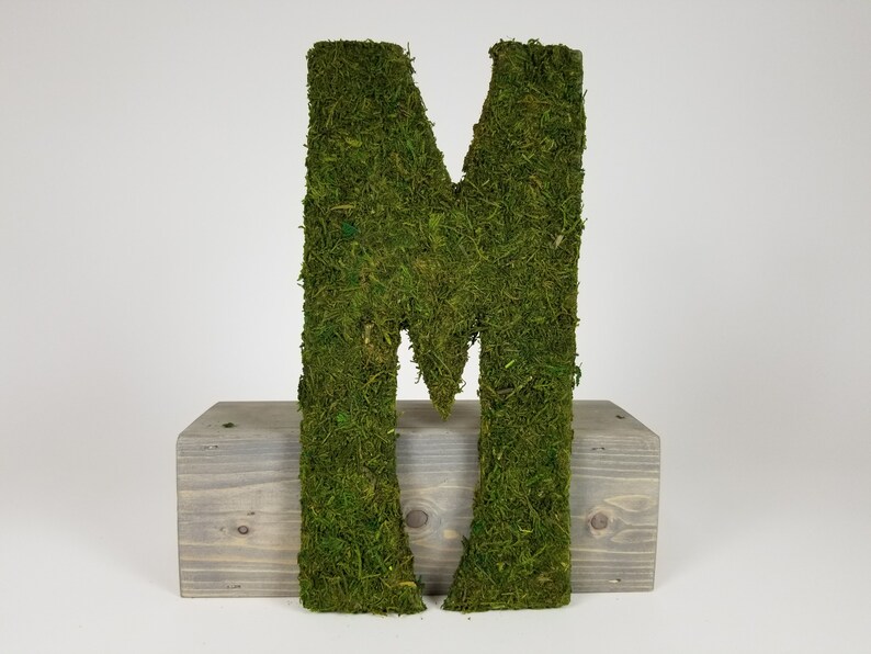 Moss Letters 10 Inches - Etsy