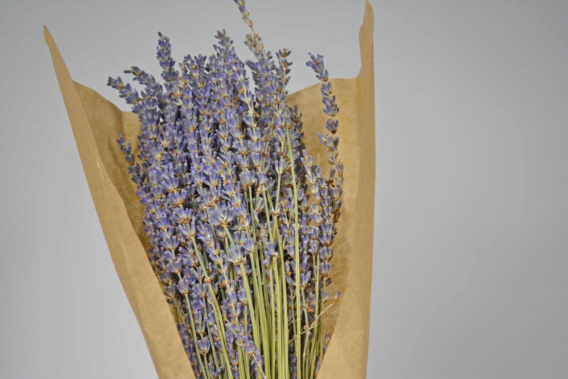 Lavender Bunch 100 Stems Dried Lavender Bouquet Fragrant - Etsy