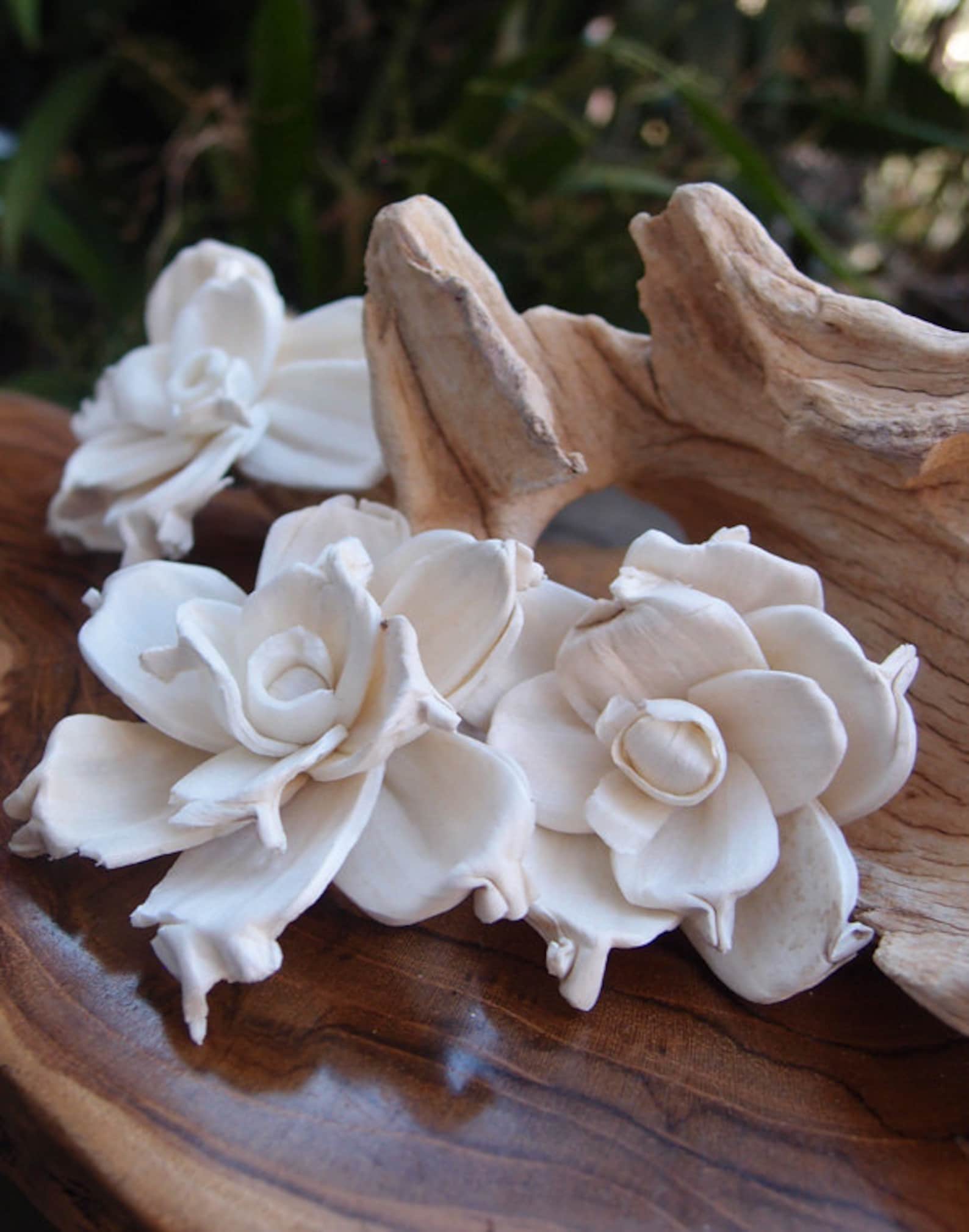 Sola Flowers Sola Gardenias 24 Pieces Sola Flower Wedding | Etsy