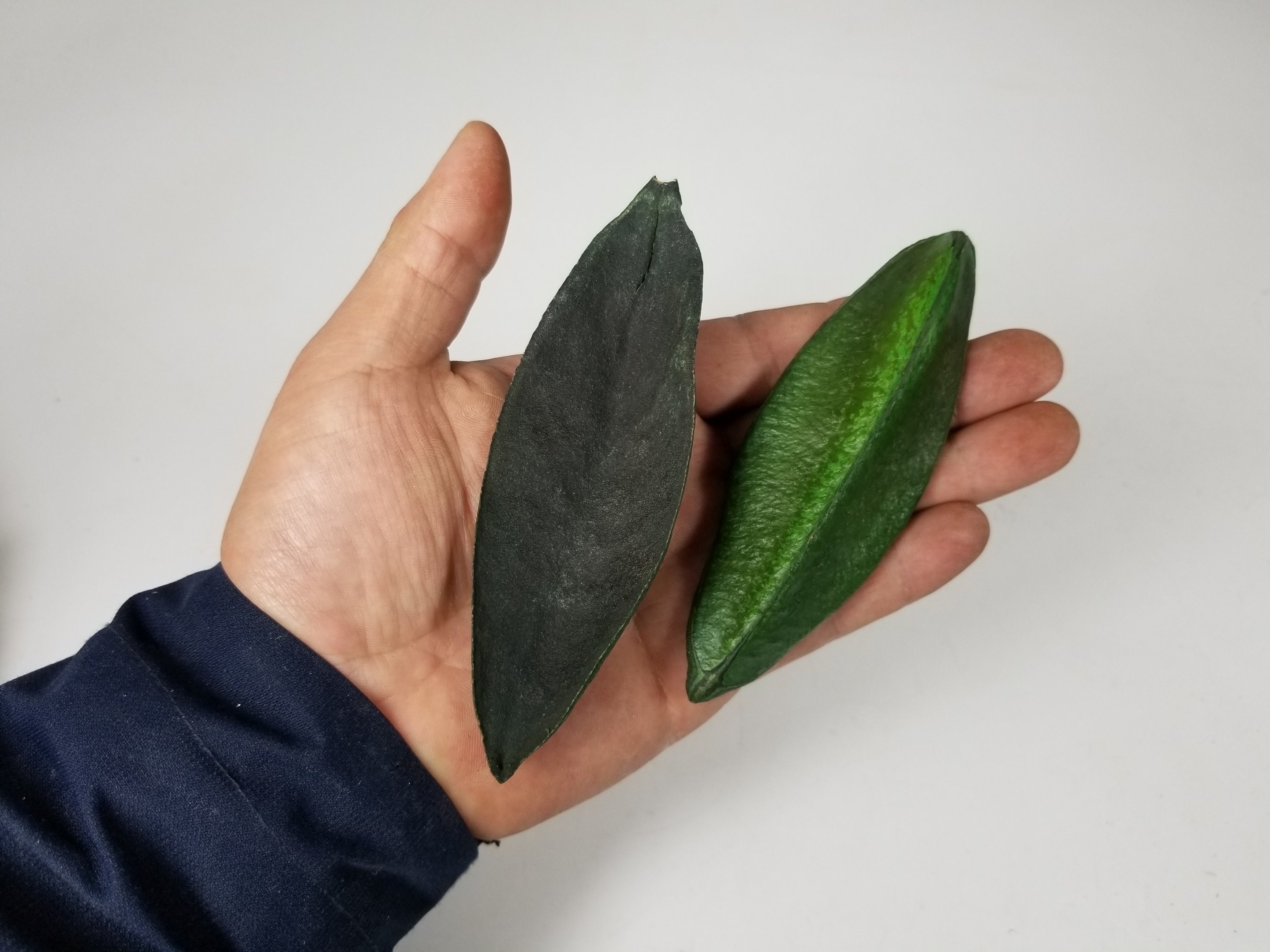 Triangle Pods-2 Quarts - Etsy