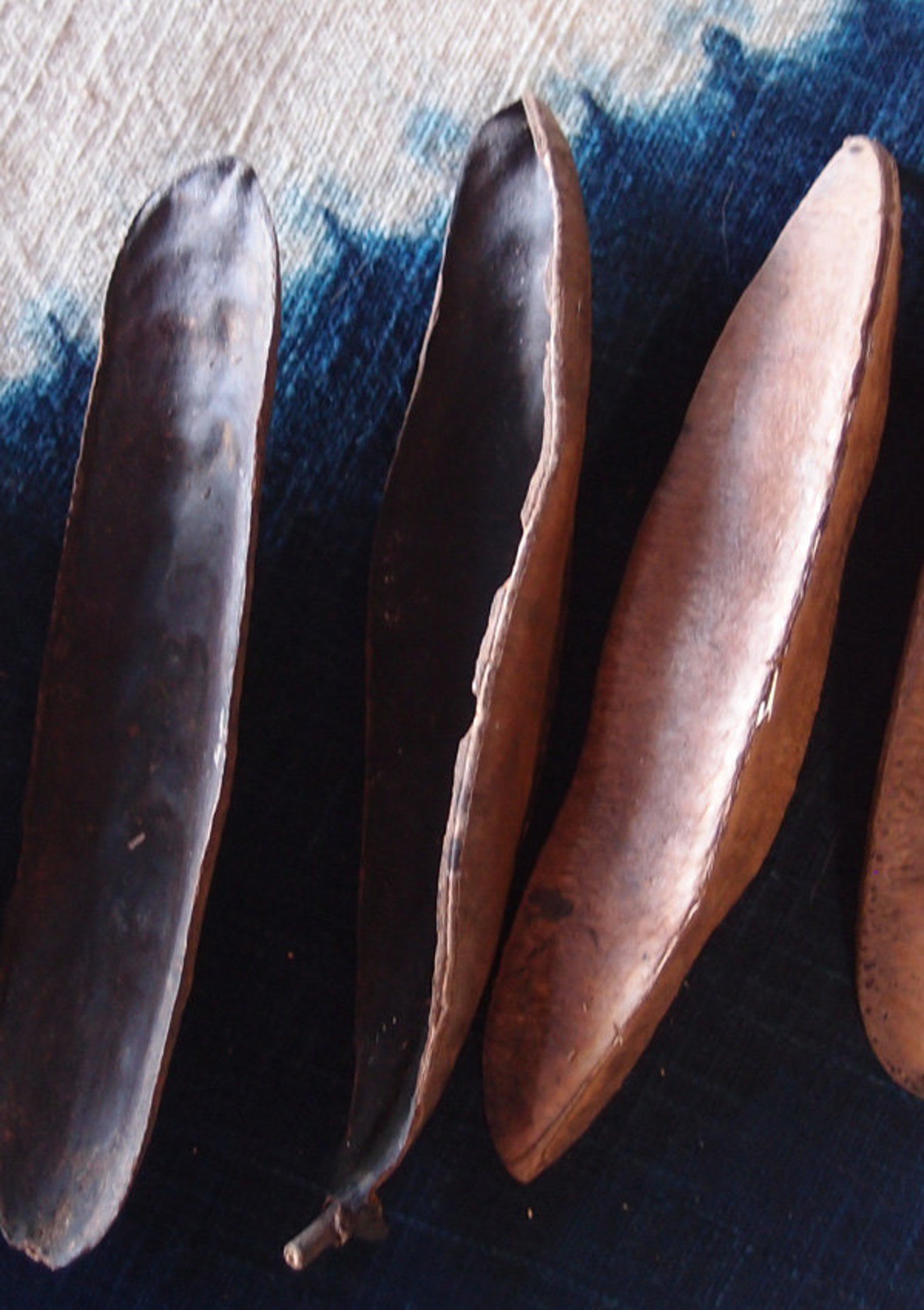 Dried Pods - Natural Triangle Pods - 4 Inch Pods- 2 Quarts- Surfboard ...