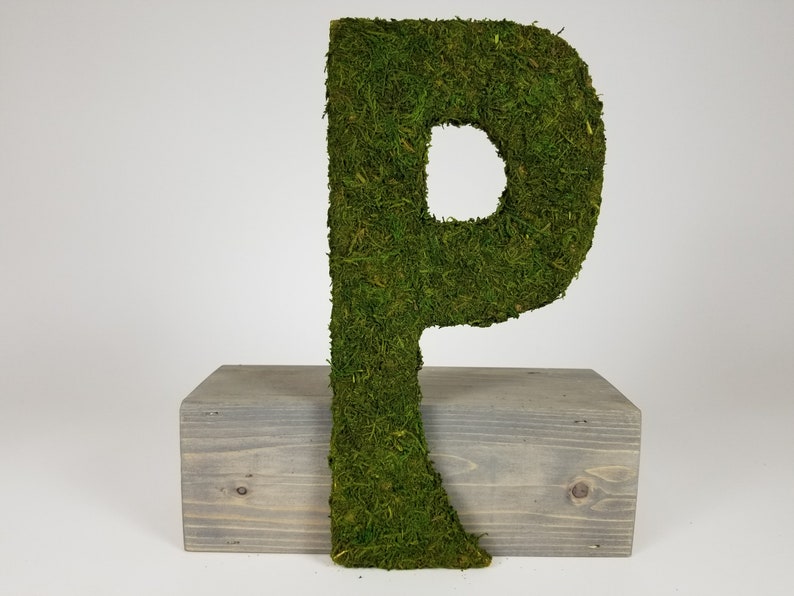 Moss Letters 10 Inches - Etsy