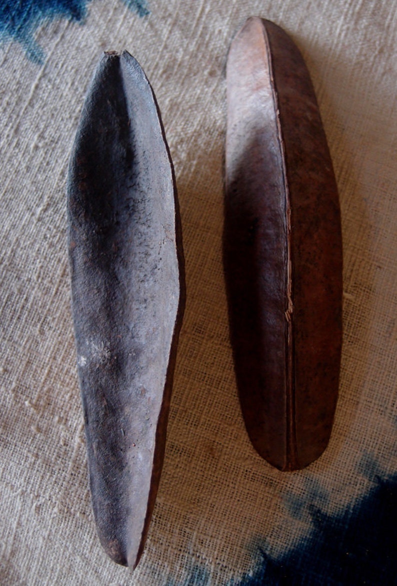 Dried Pods - Natural Triangle Pods - 4 Inch Pods- 2 Quarts- Surfboard ...
