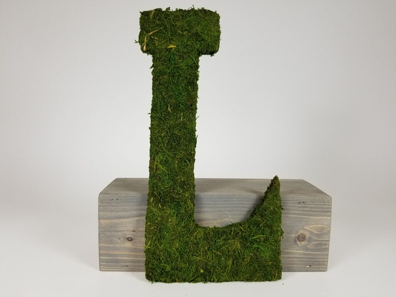 Moss Letters 10 Inches - Etsy