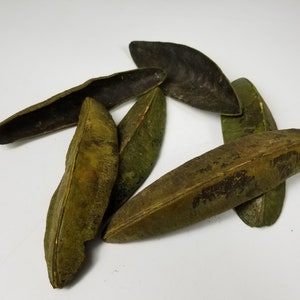 Triangle Pods-2 Quarts - Etsy