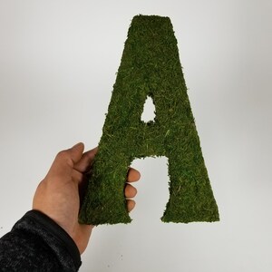 Moss Letters 10 Inches - Etsy