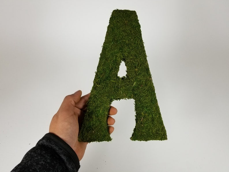 Moss Letters 10 Inches - Etsy
