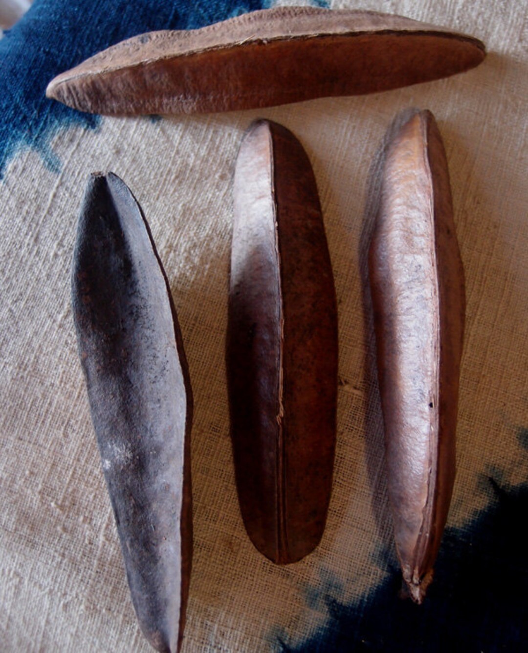 Dried Pods - Natural Triangle Pods - 4 Inch Pods- 2 Quarts- Surfboard ...