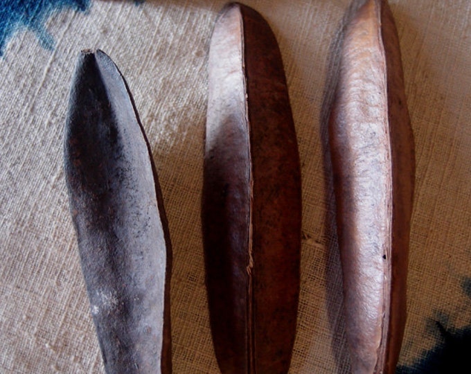 Dried Pods - Natural Triangle Pods - 4 Inch Pods- 2 Quarts- Surfboard ...