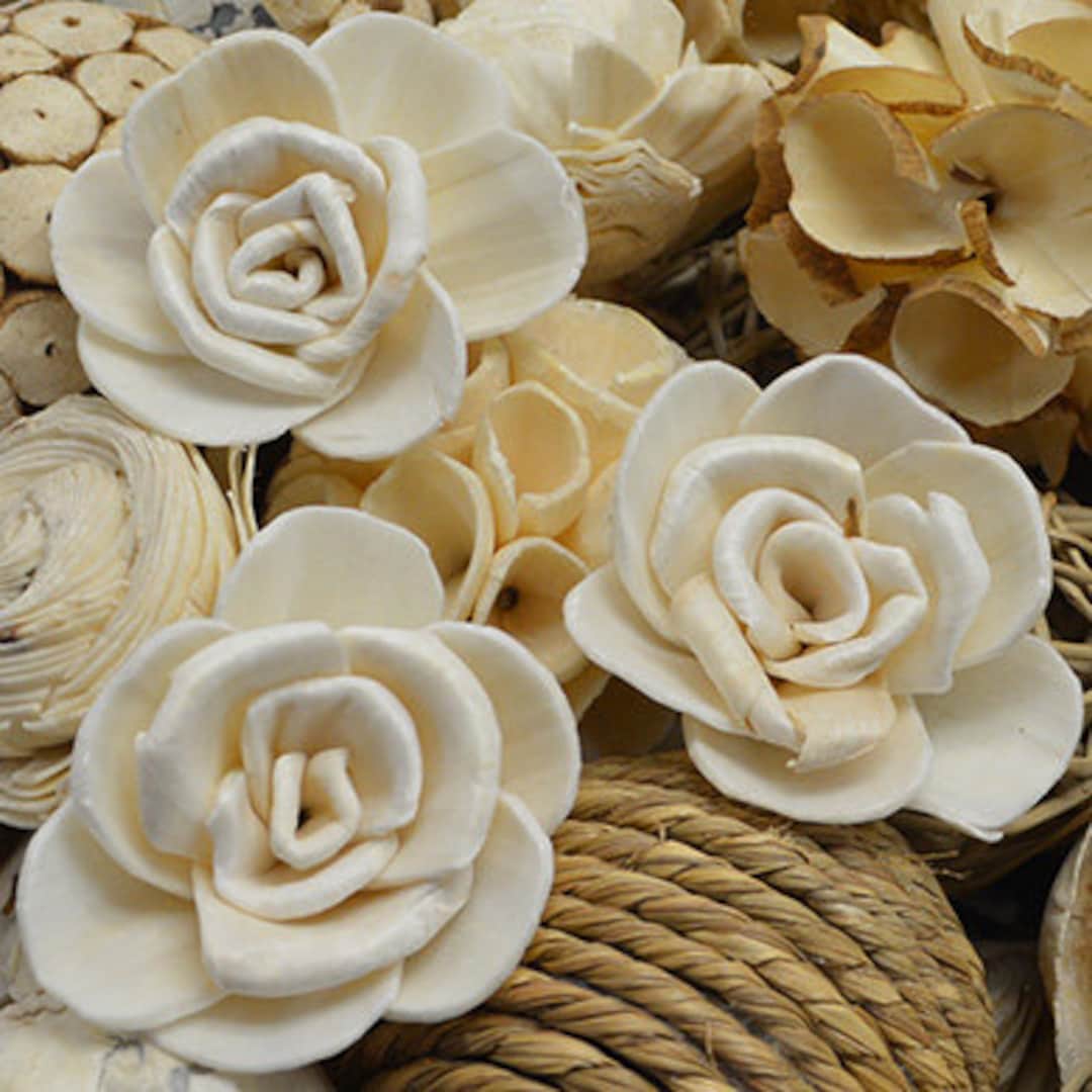 Sola Marhia, 6cm - 12 Pk - Sola Wood Flower, Wood Flower Art, Wedding ...