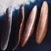 Dried Pods - Natural Triangle Pods - 4 Inch Pods- 2 Quarts- Surfboard ...