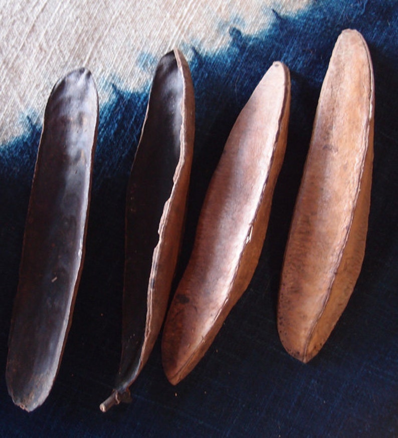Dried Pods - Natural Triangle Pods - 4 Inch Pods- 2 Quarts- Surfboard ...