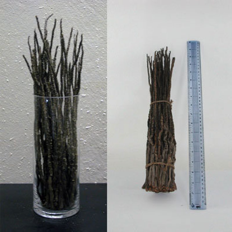 Twig Bundle - Etsy