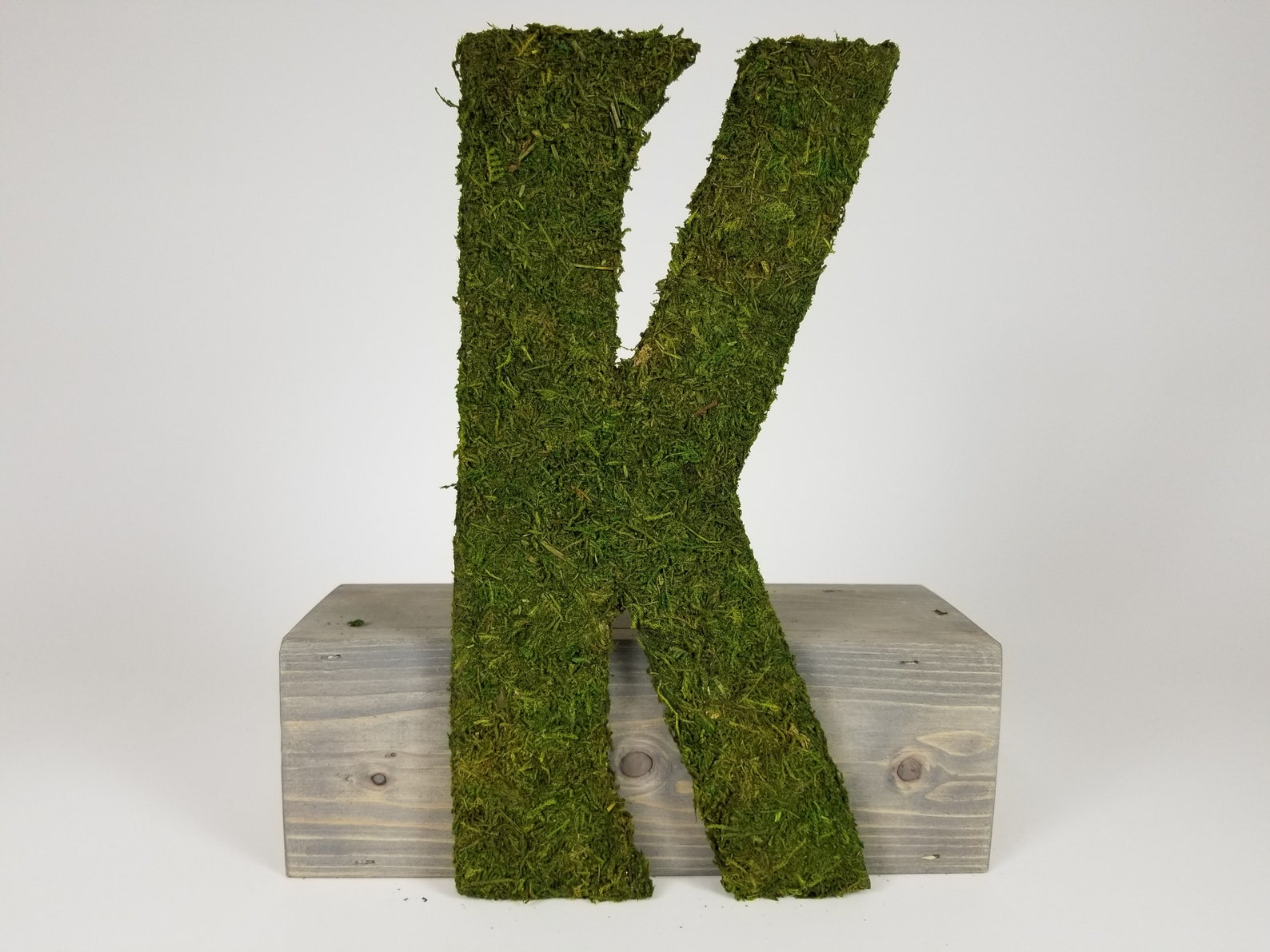 Moss Letters 10 Inches - Etsy