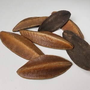 Triangle Pods-2 Quarts - Etsy