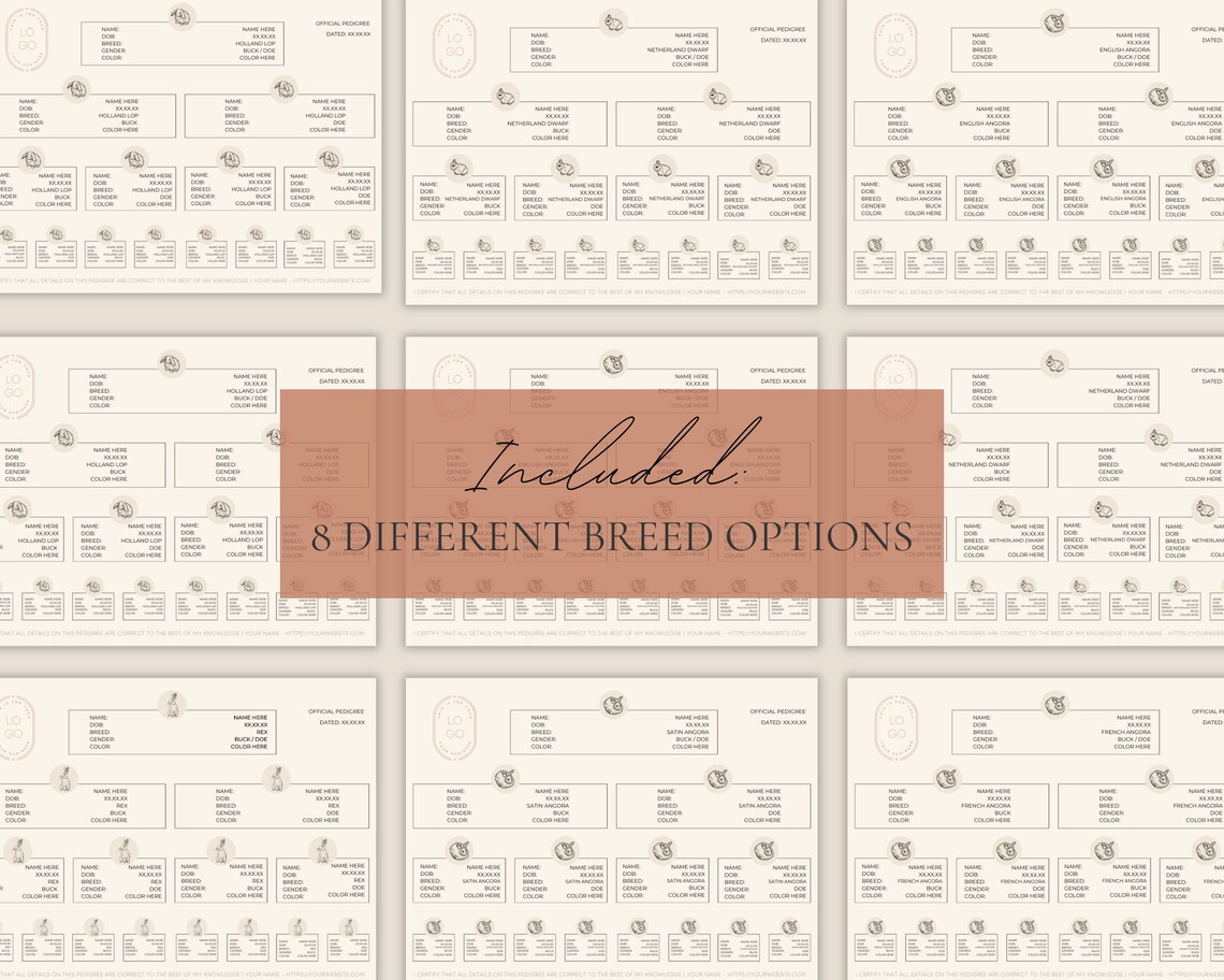 Editable Rabbit Pedigree | Editable Canva Template | Holland Lop ...