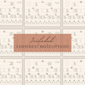 Editable Rabbit Pedigree | Editable Canva Template | Holland Lop ...