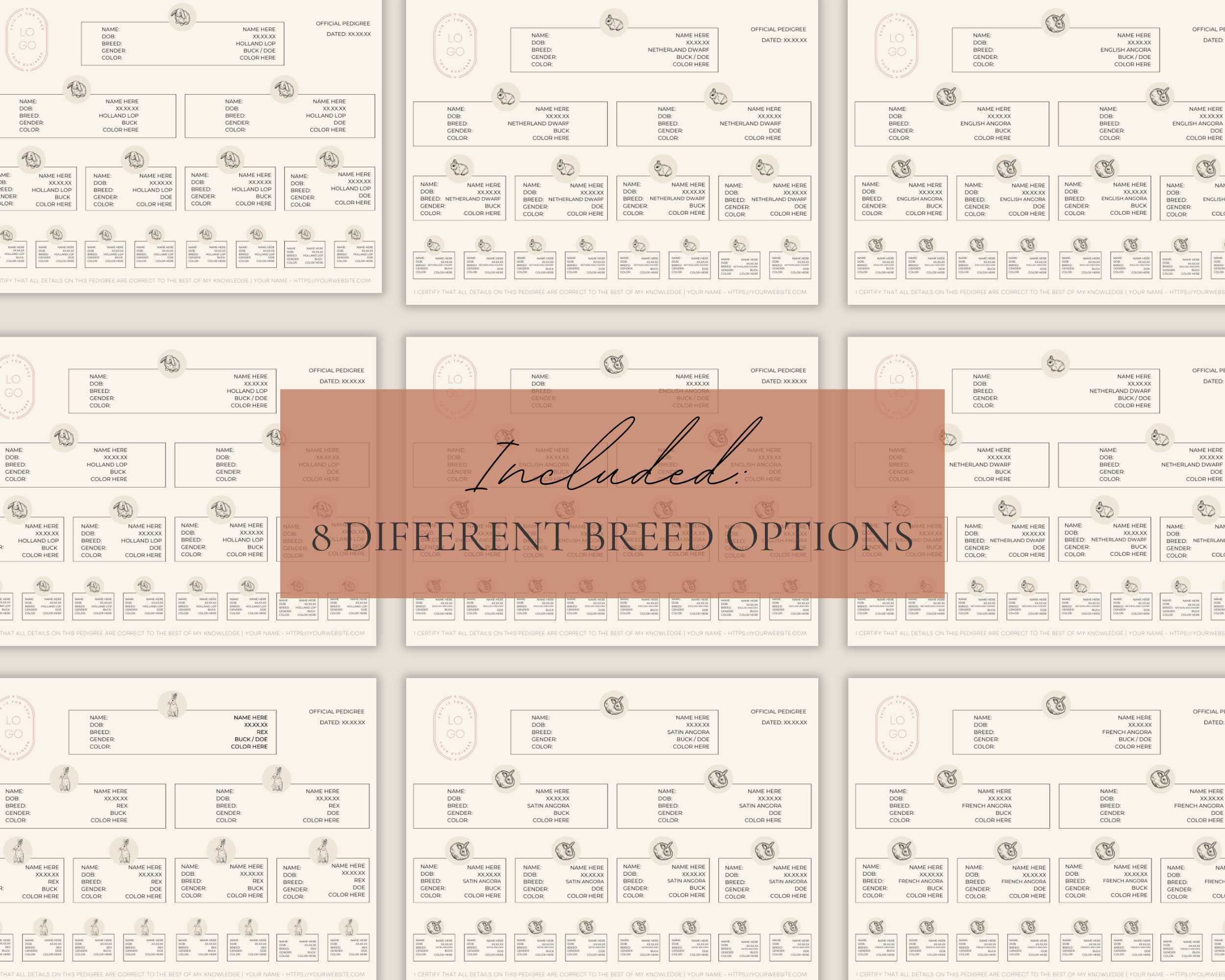 Editable Rabbit Pedigree | Editable Canva Template | Holland Lop ...