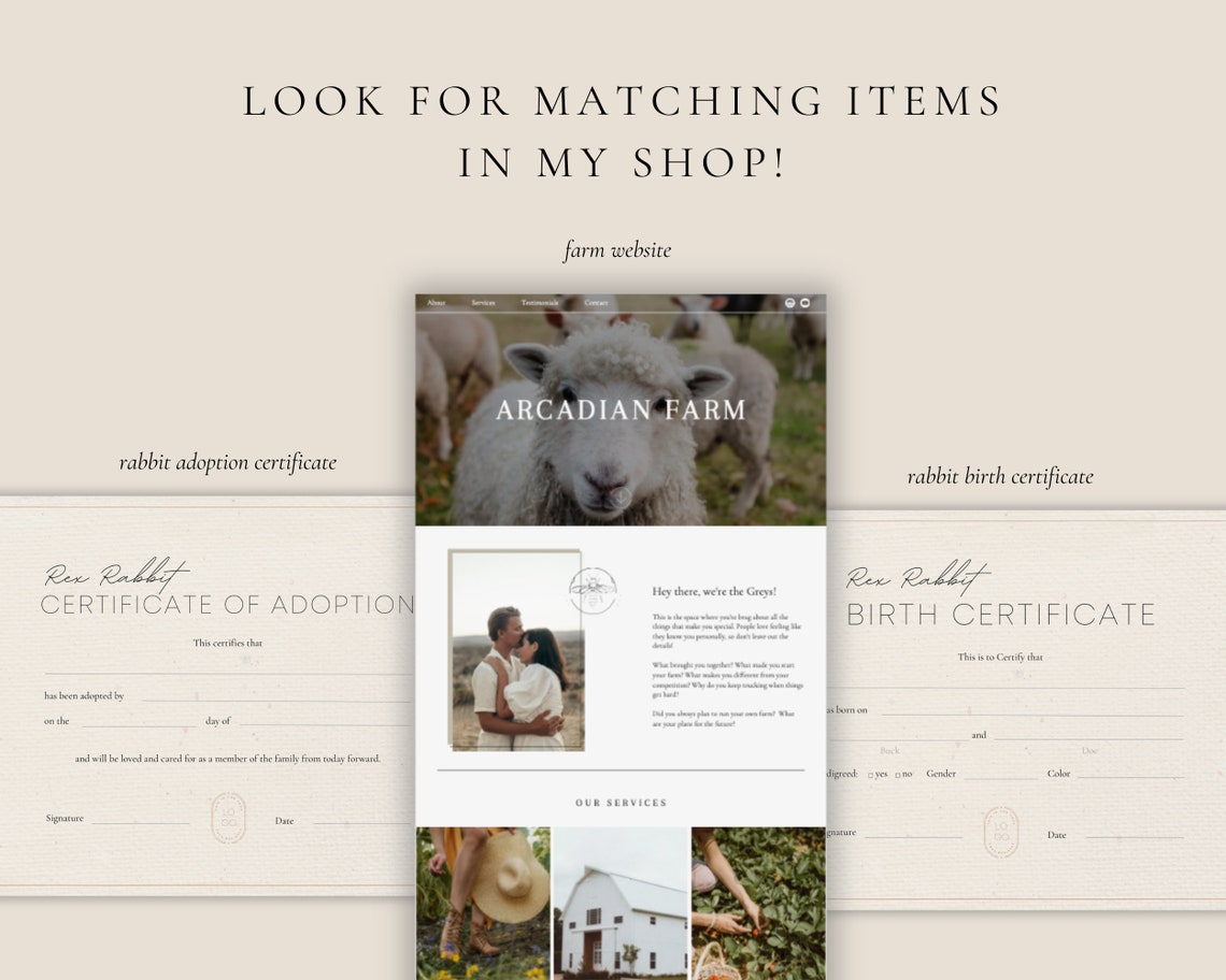 Editable Rabbit Pedigree | Editable Canva Template | Holland Lop ...