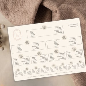 Editable Rabbit Pedigree | Editable Canva Template | Holland Lop ...