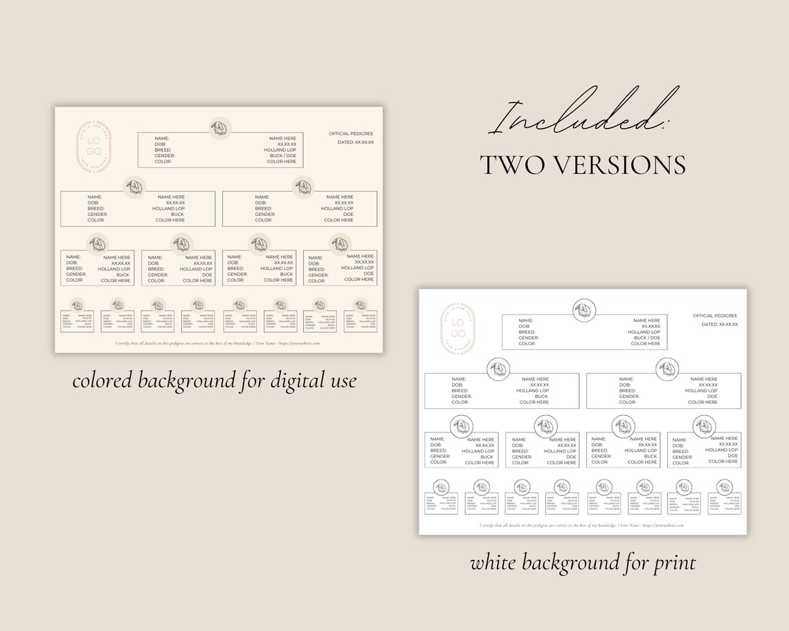 Editable Rabbit Pedigree | Editable Canva Template | Holland Lop ...
