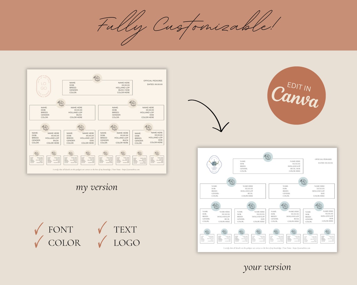 Editable Rabbit Pedigree | Editable Canva Template | Holland Lop ...