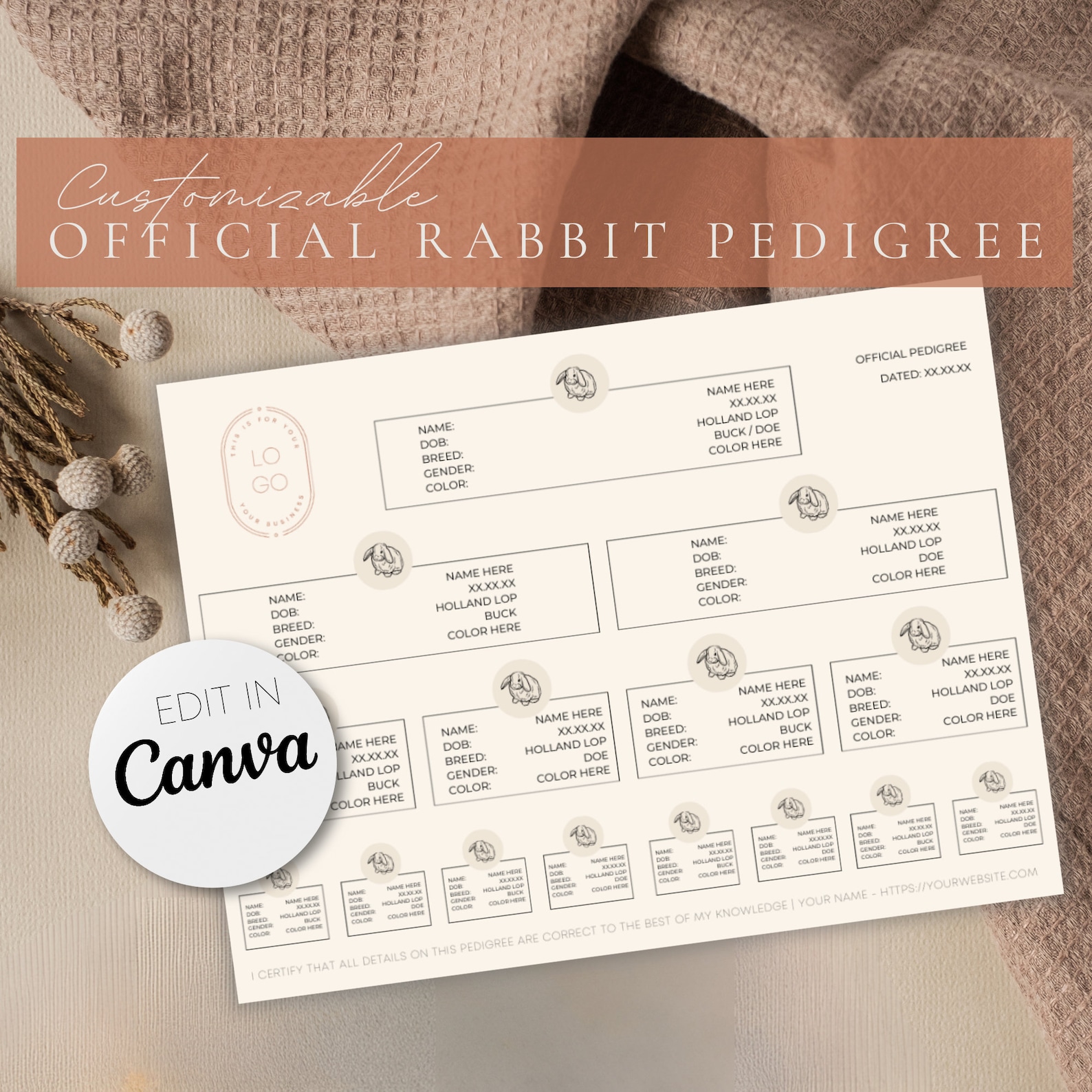 Editable Rabbit Pedigree | Editable Canva Template | Holland Lop ...