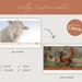 Minimalist Farm Website Template | Canva Website Template | Homestead ...