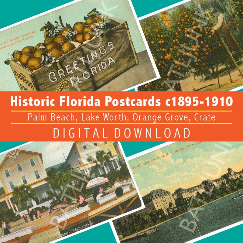 Old Florida Photo - Etsy