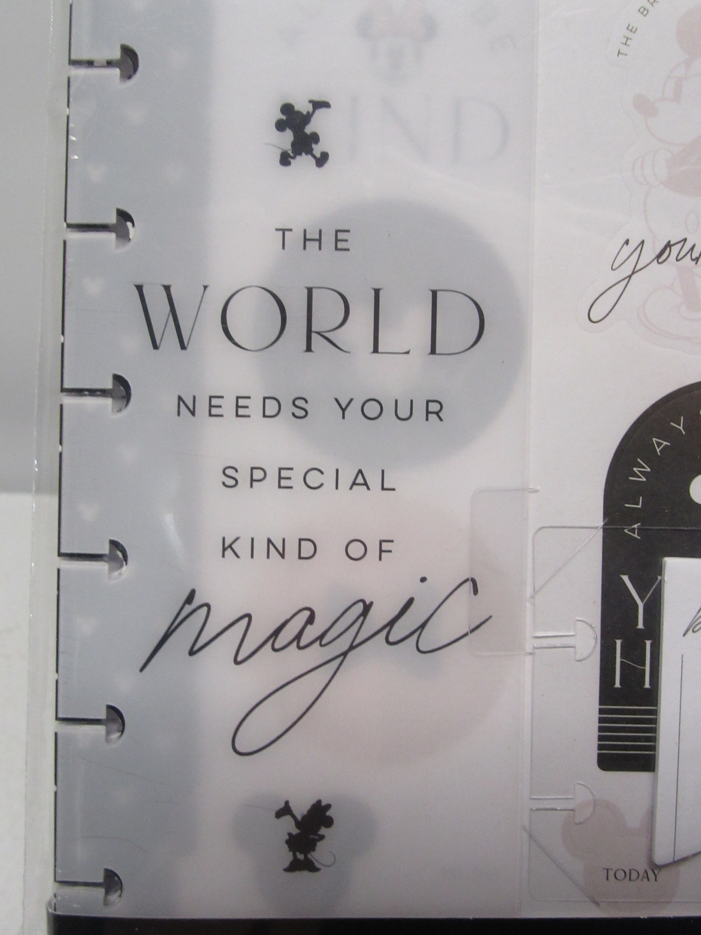 The Happy Planner Disney Dashboard & Accessories - Etsy