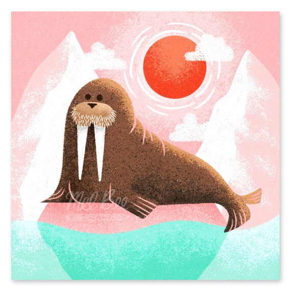 Walrus Fine Art Illustration Print | Etsy