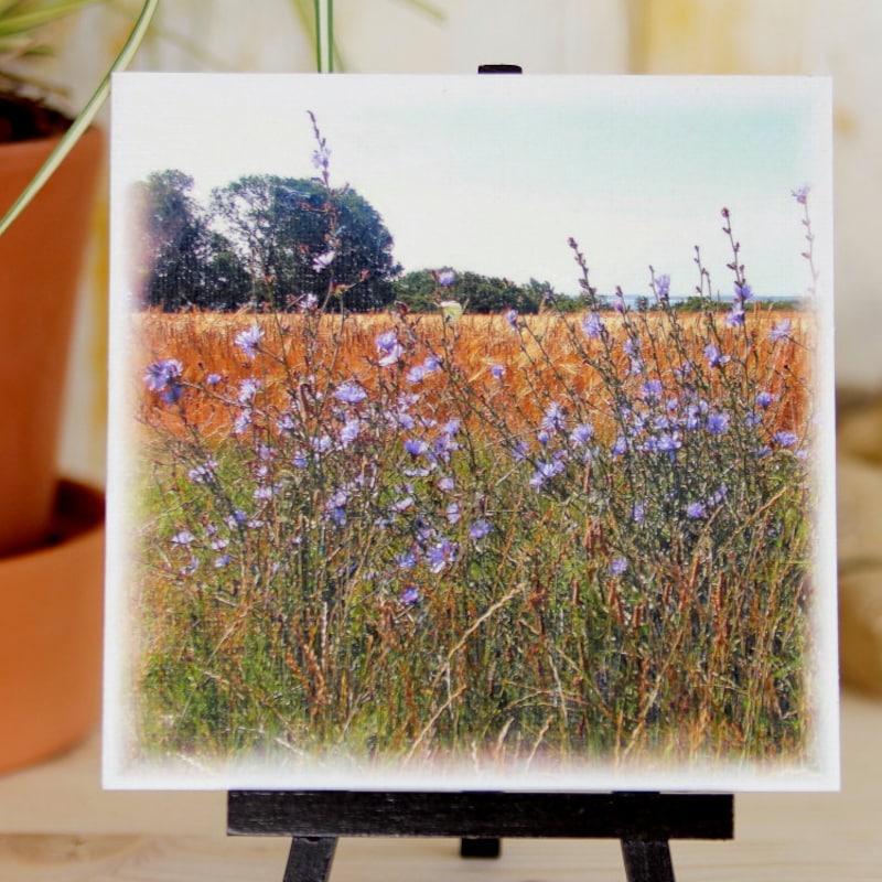 13x13 Photo Print - Etsy