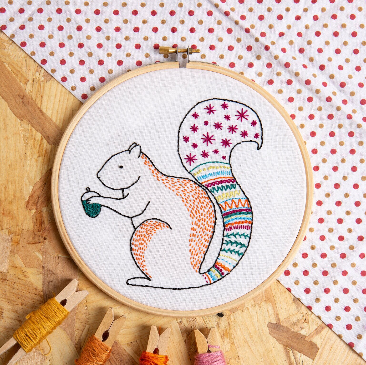 Squirrel Embroidery Kit Beginner Embroidery Kit Embroidery - Etsy UK