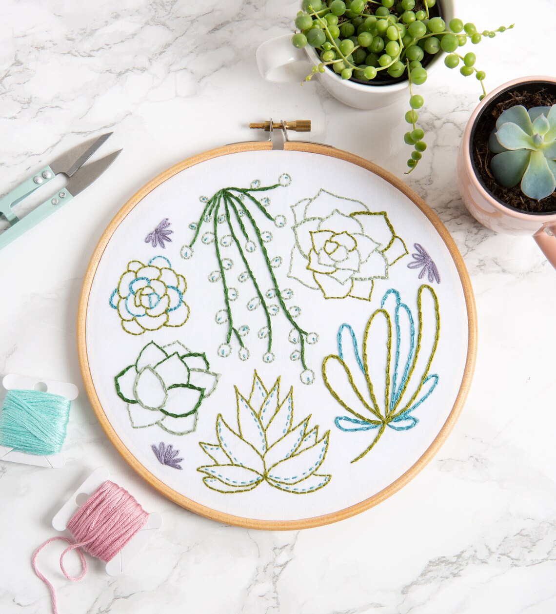 Succulents PDF Embroidery Pattern Instant Download | Etsy