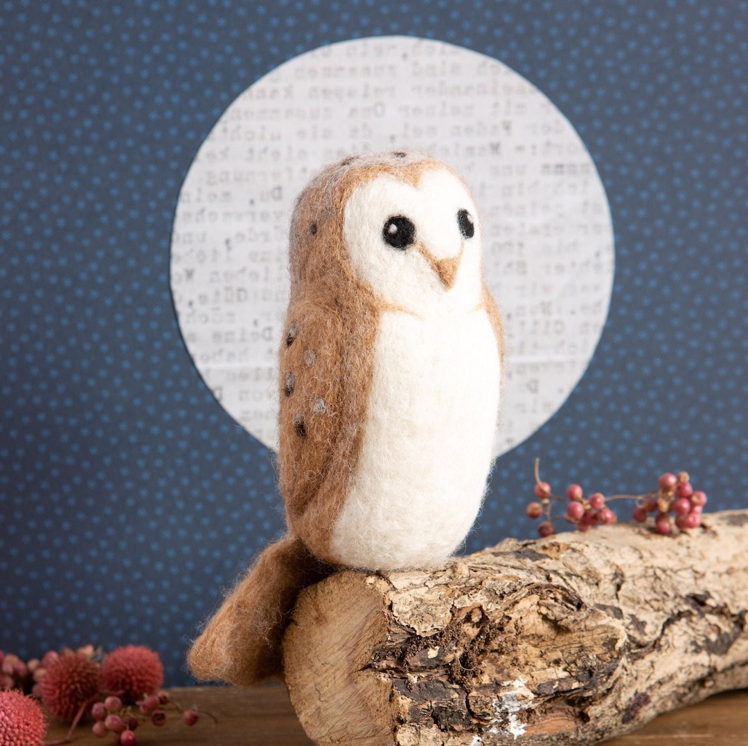 Barn Owl Needle Felting Kit - Beginners DIY Craft Set - British Wool ...