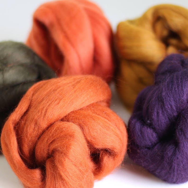 Autumn Needle Felting Wool Bundle Merino Wool for Felting - Etsy
