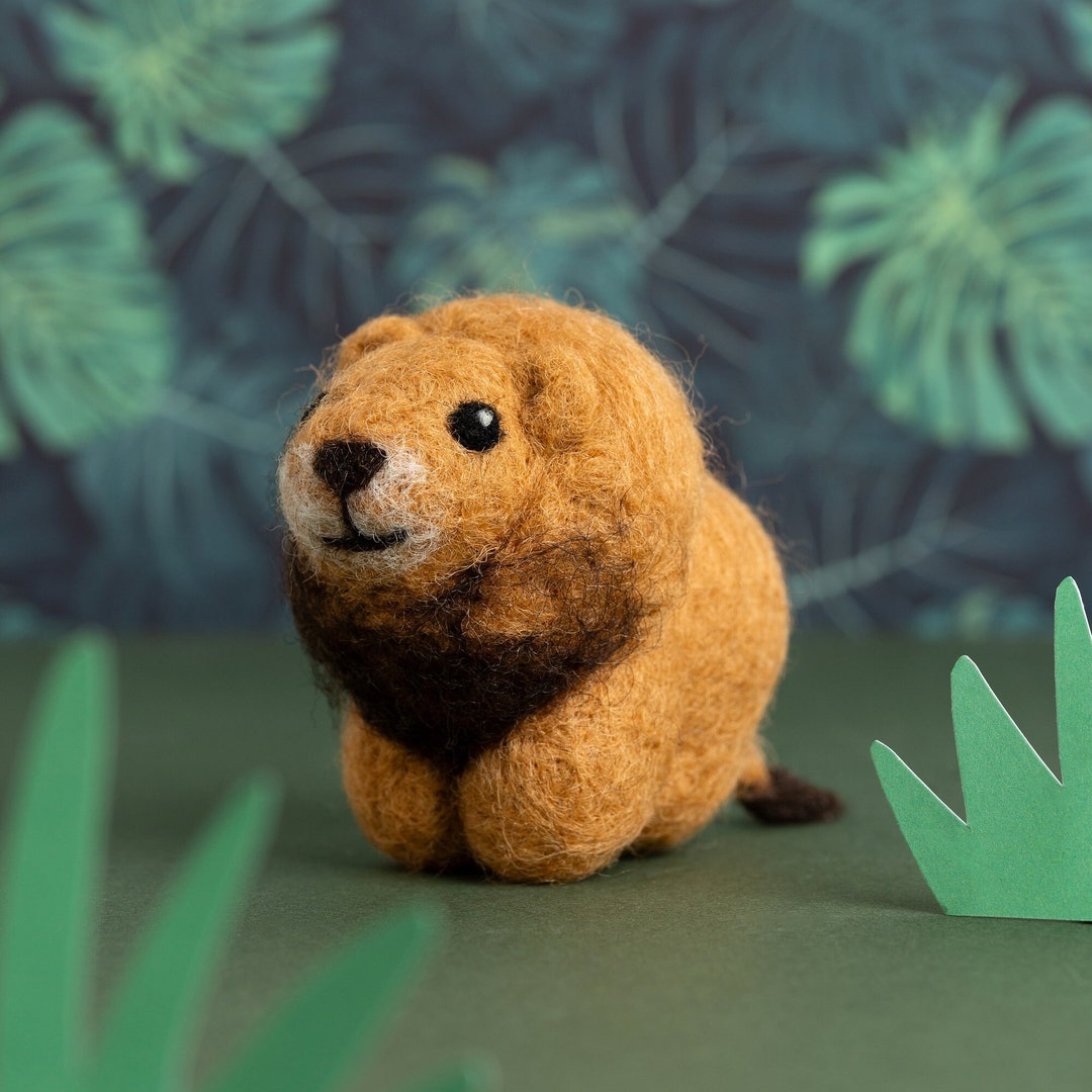 Lion Needle Felting Kit : Beginners DIY Craft Set With British Wool - Etsy