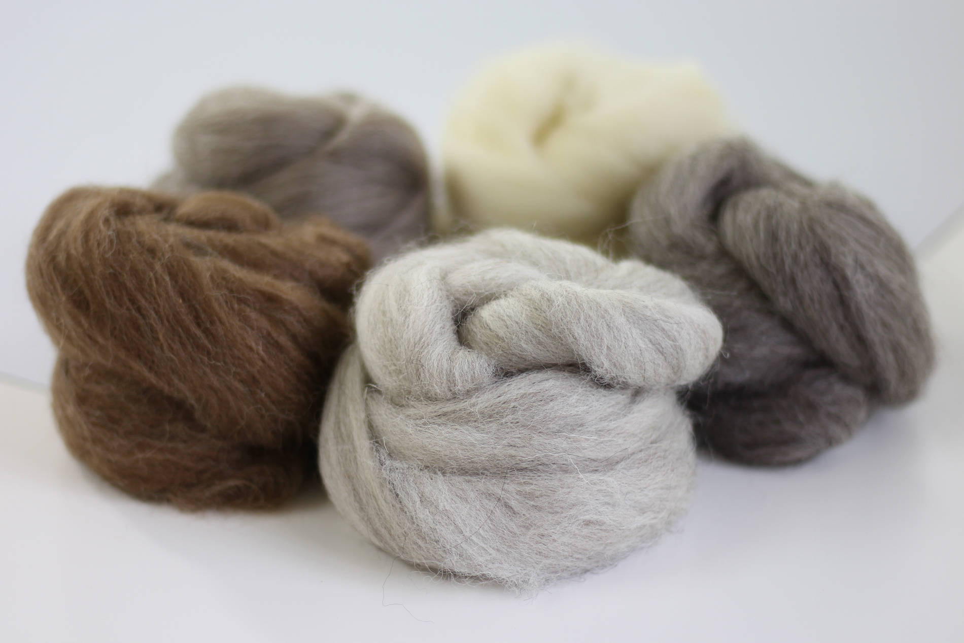 British Breeds Needle Felting Wool Bundle No.1 | Etsy
