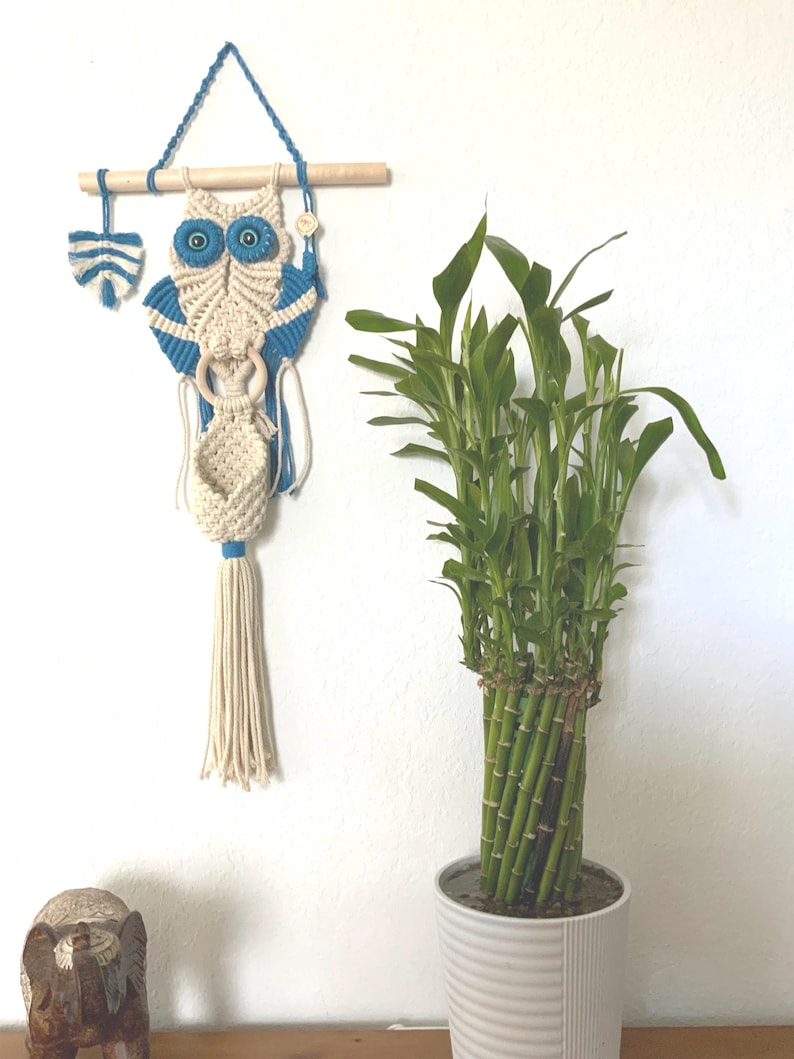Boho Macrame Owl Wall Hanging – Air Plant Holder, Blue Accent - Etsy