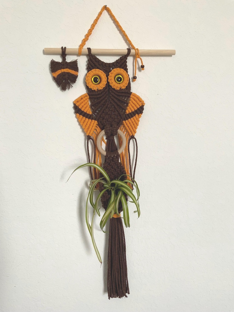 Boho Macrame Owl Wall Hanging – Air Plant Holder, Blue Accent - Etsy