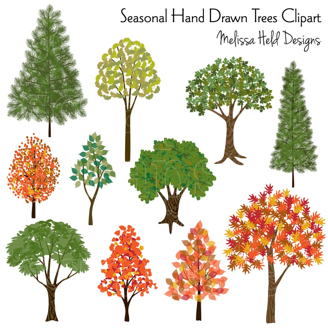 Seasonal Hand Drawn Trees Digital Clipart - Etsy