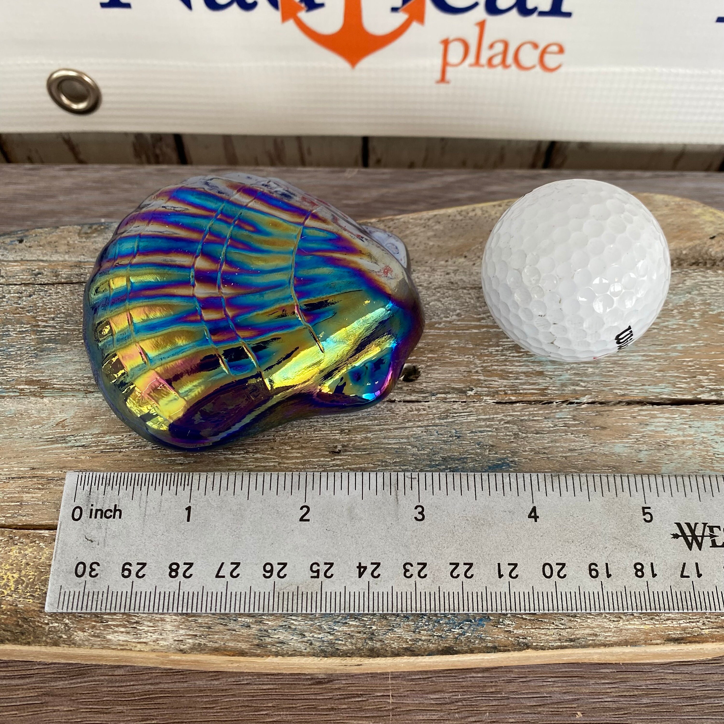 Glass Scallop Shell Figurine / Hand Blown Nautical Paperweight - Clear ...