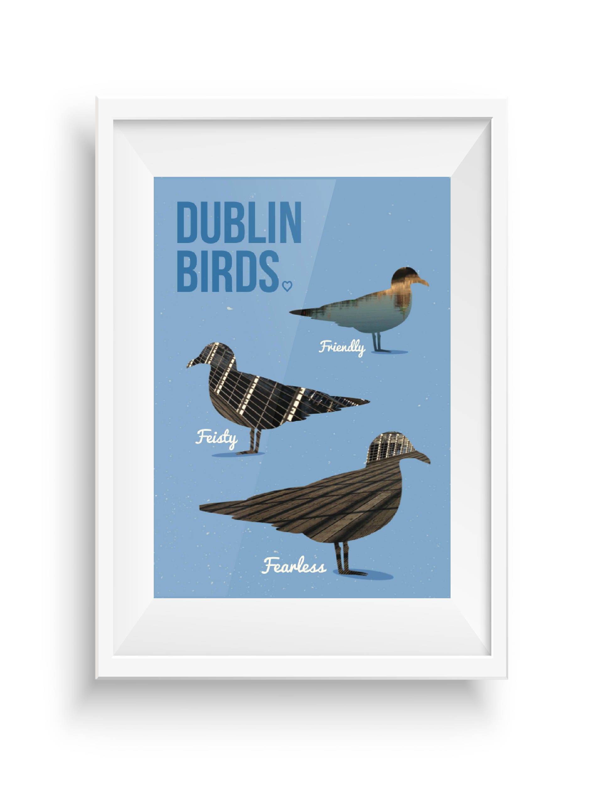 Dublin Birds: Characters Poster Friendly, Feisty, Fearless, Humour ...