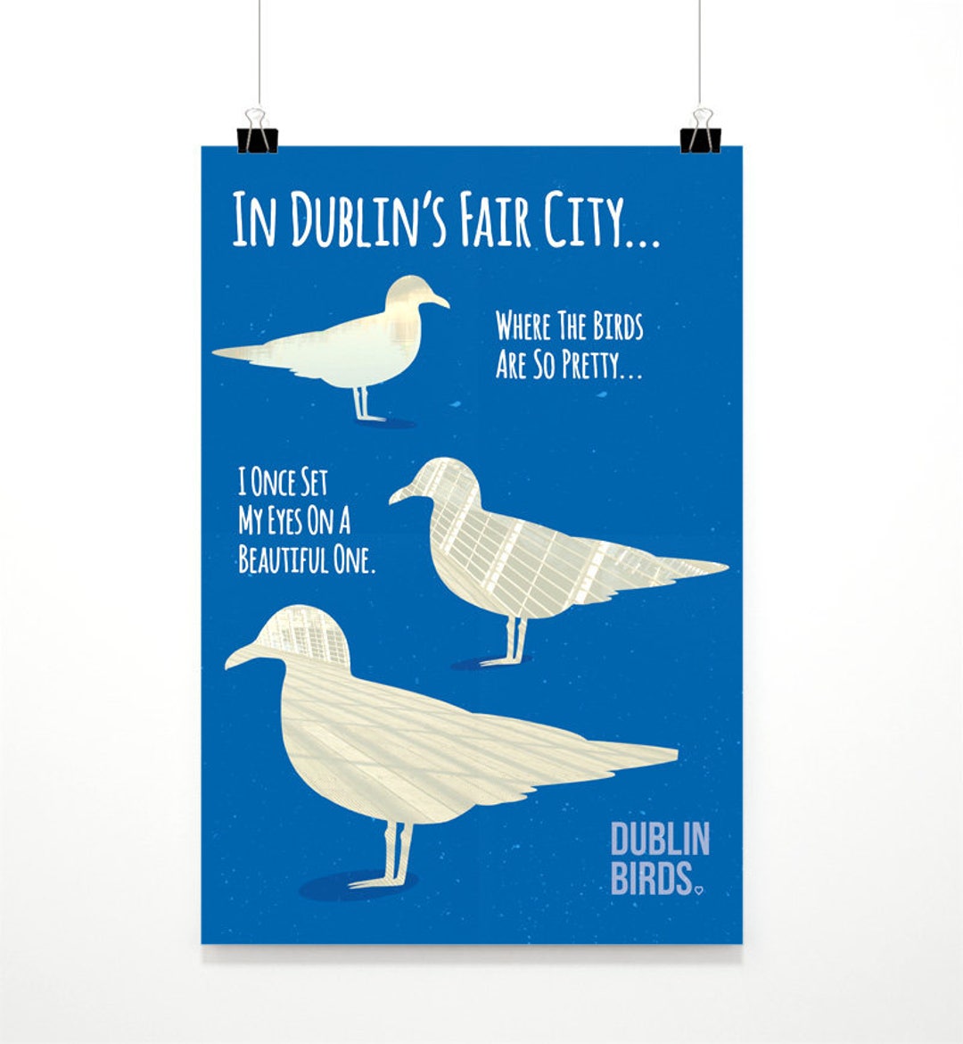 Dublin Birds: Dublin's Fair City – Poster – Where the Birds Are so ...