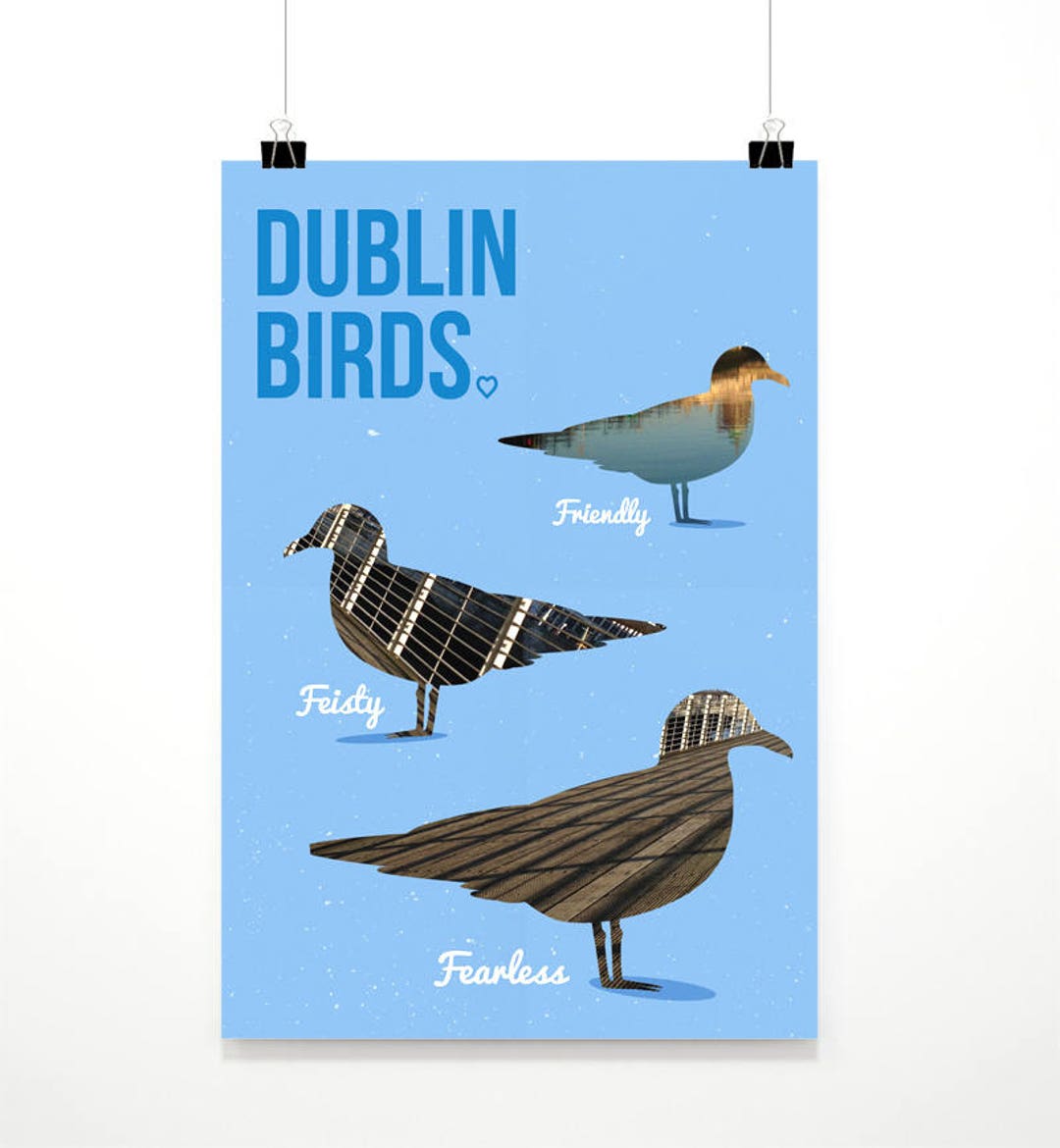 Dublin Birds: Characters – Poster – Friendly, Feisty, Fearless, Humour ...