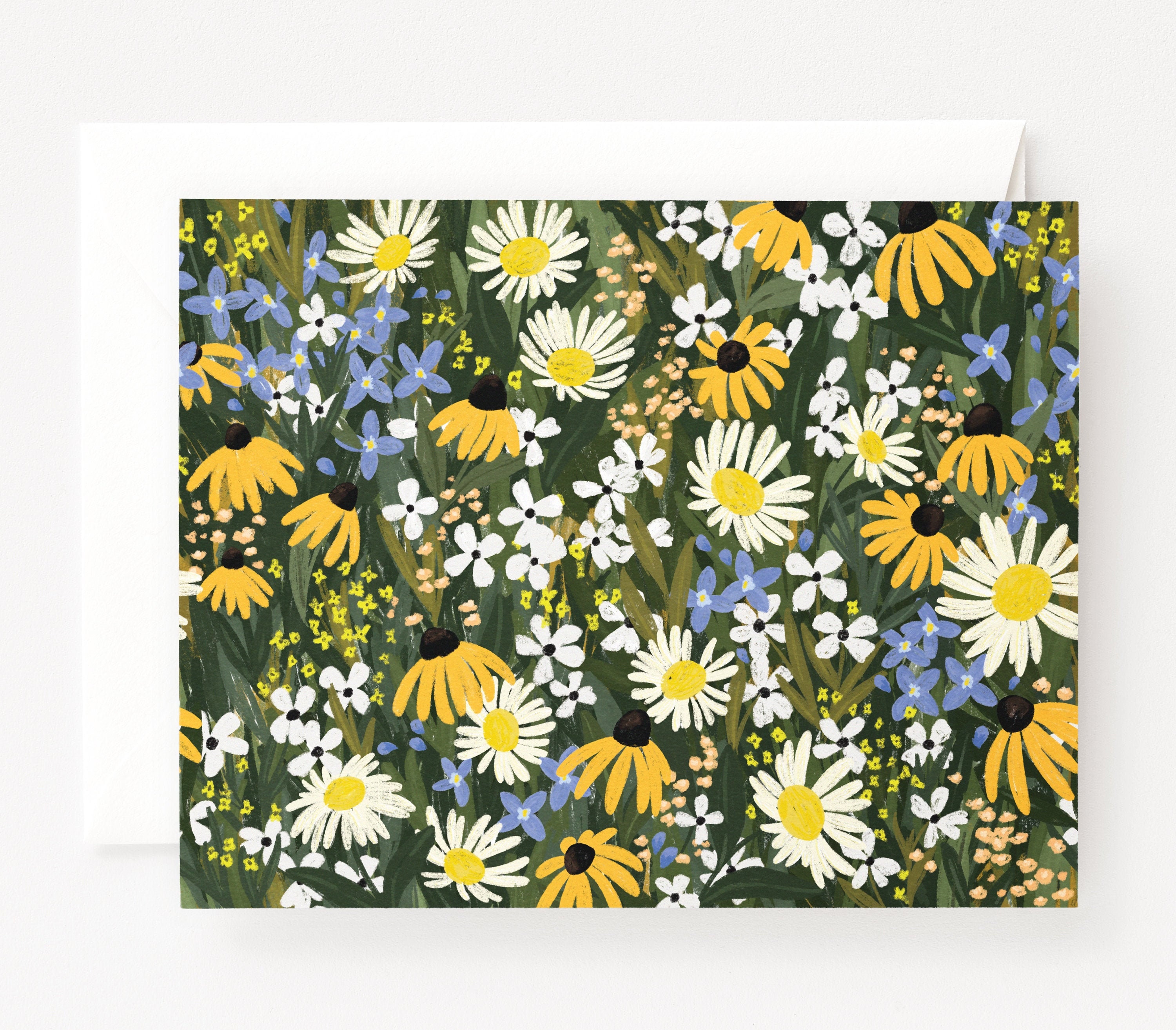 Set of 8 Parkway Wildflowers Cards : Blue Ridge Parkway - Etsy