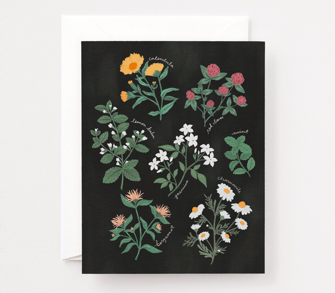 Tea Garden Notecard Set: Illustrated Herbal Stationery, Blank Cards - Etsy