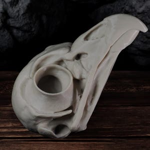 Oversized Barred Owl Skull Replica - 3D Printed - 150% Natural Size ...