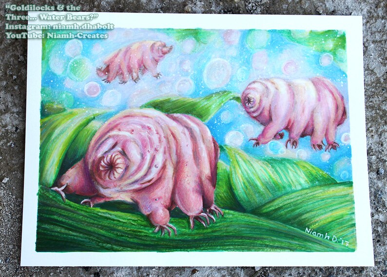Tardigrade/water Bear Illustration- Original Art - Etsy